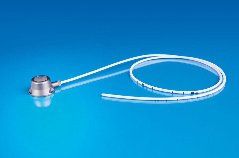 Port pflegen: Darauf müssen Sie achten | TauroLock™